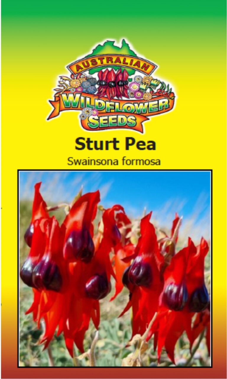 Sturt Pea - Australian Wildflower Seeds